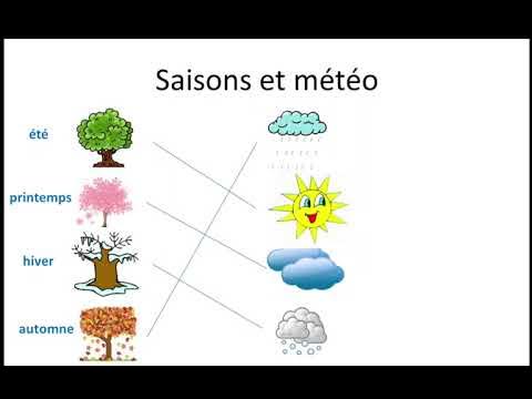 Météo, saisons et biotope (11) - YouTube