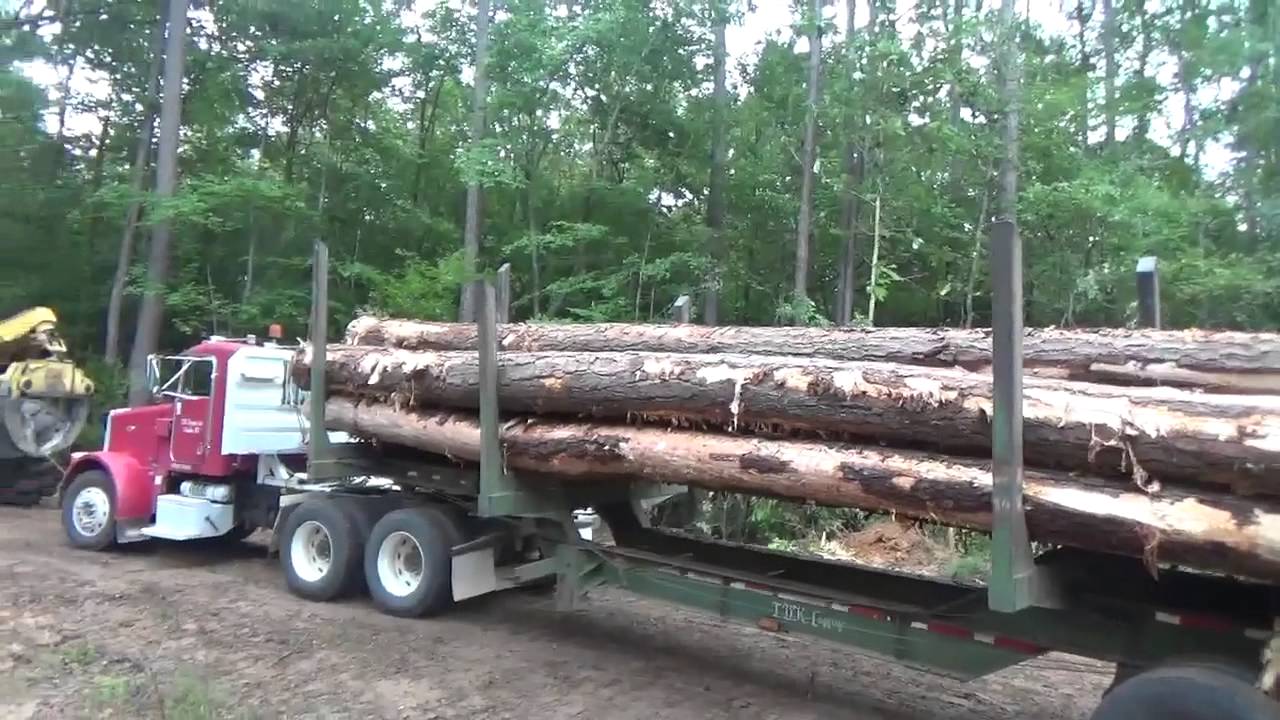 9 trees to make a load at more than 6,000 pounds per tree! - YouTube