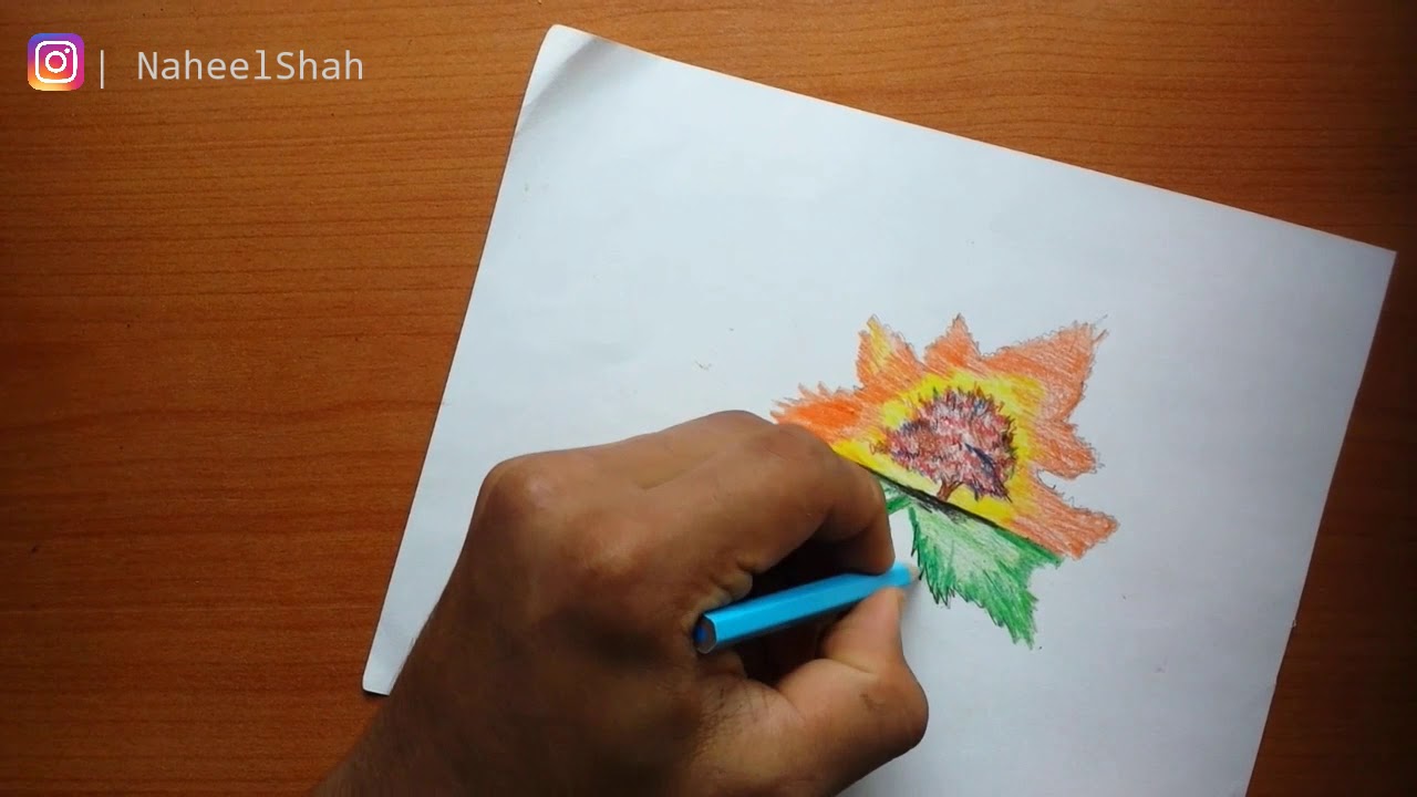 Two in one drawing with color pencil | scenery drawing | Naheelshah ...