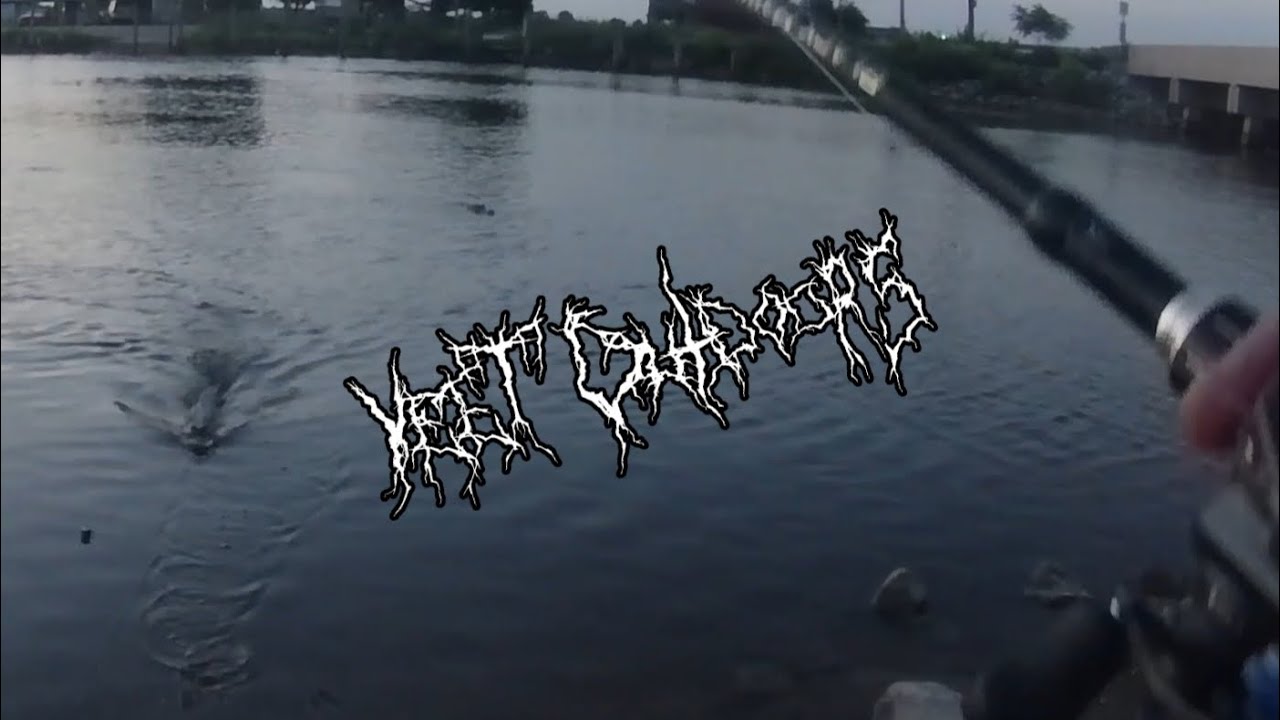 Silly Gator, Corks are for Fish! - YouTube