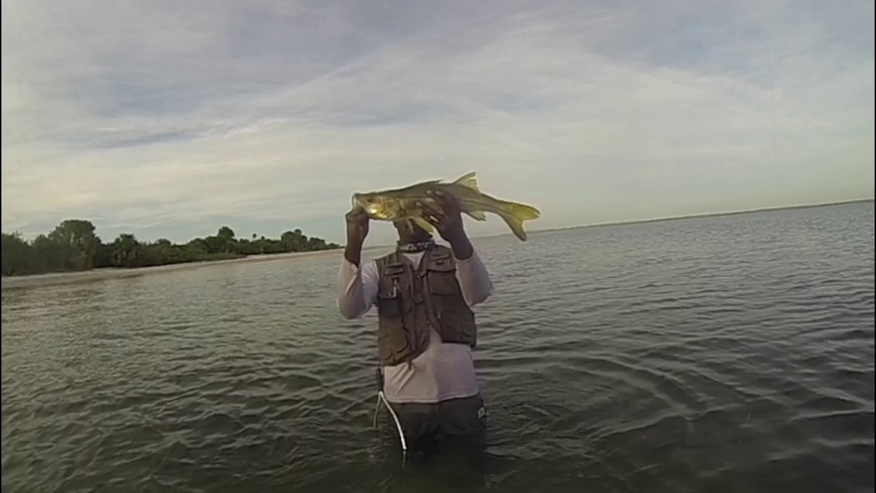 Wade Fishing for the slam Part I - YouTube