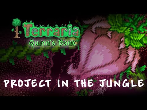 PROJECT OF THE JUNGLE ~ Terraria: Quinn's Bank - YouTube