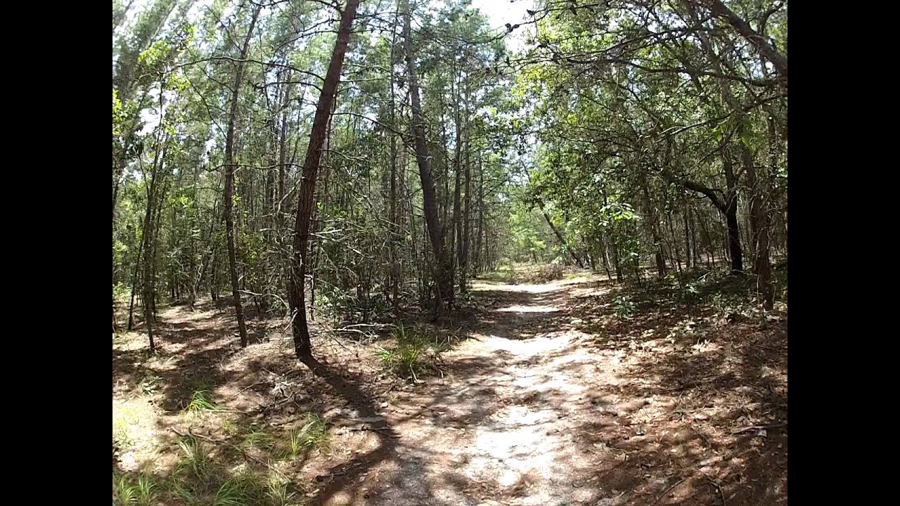 Enjoying the Trails in Citrus Wildlife Management Area - YouTube