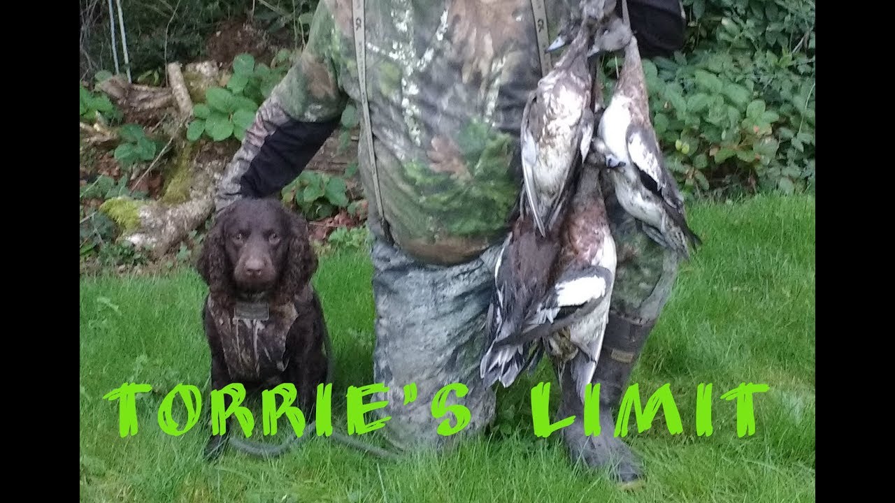 Torrie's First Real Duck Hunt! - YouTube