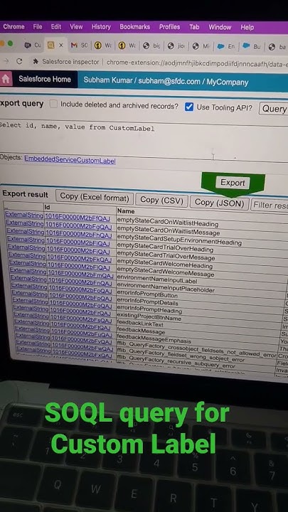Salesforce SOQL query for Custom Label - YouTube
