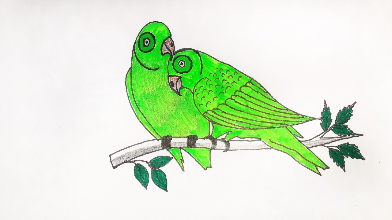 Beautiful Two parrots in love by pencil sketches - YouTube