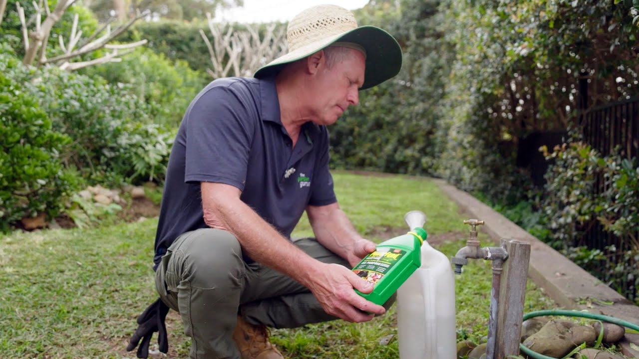 The Garden Gurus - 3 easy steps to a beautiful spring garden - YouTube