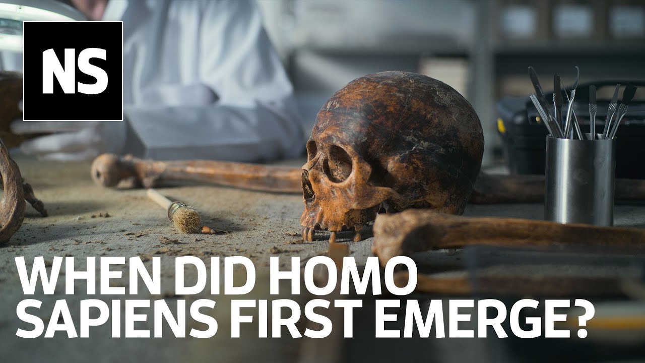 When did Homo sapiens first emerge? It's a complex question to answer - YouTube