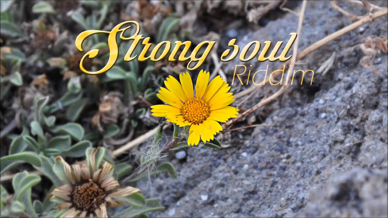 Reggae Instrumental "Strong soul riddim" - YouTube