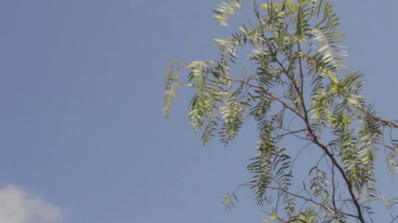 'Best Part' Cover - junYAH x Wanja Wohoro - YouTube Music