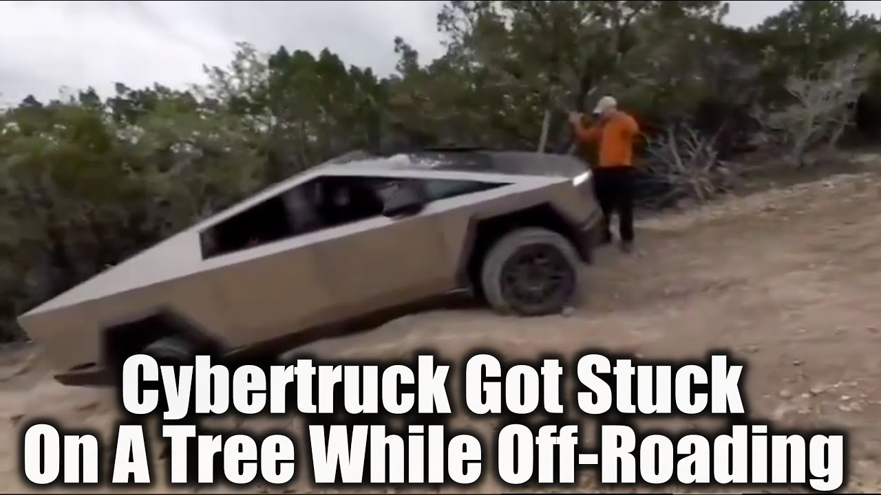 Cybertruck Stuck Again! This Time On A Tree - YouTube