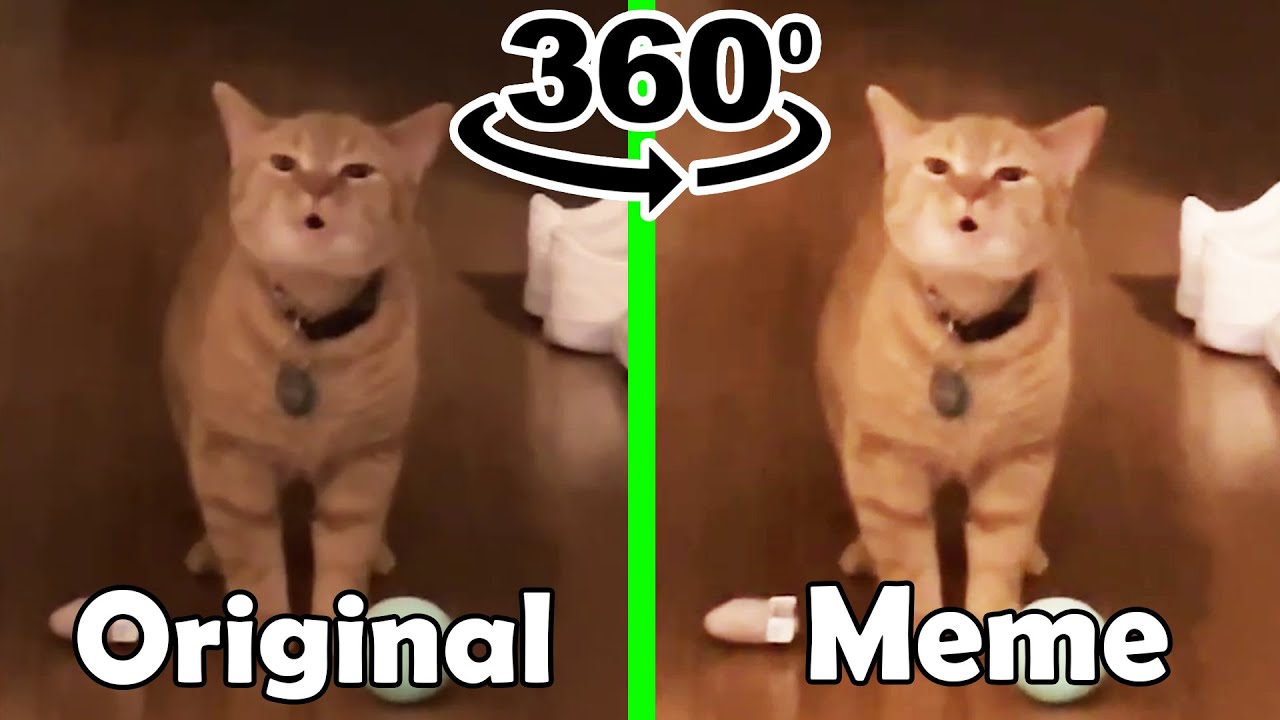 I Go Meow Original Vs I Go Meow Meme 360º - YouTube