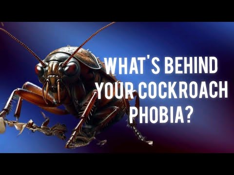 What's Really Behind Your Cockroach Phobia? The Disturbing Truth ...