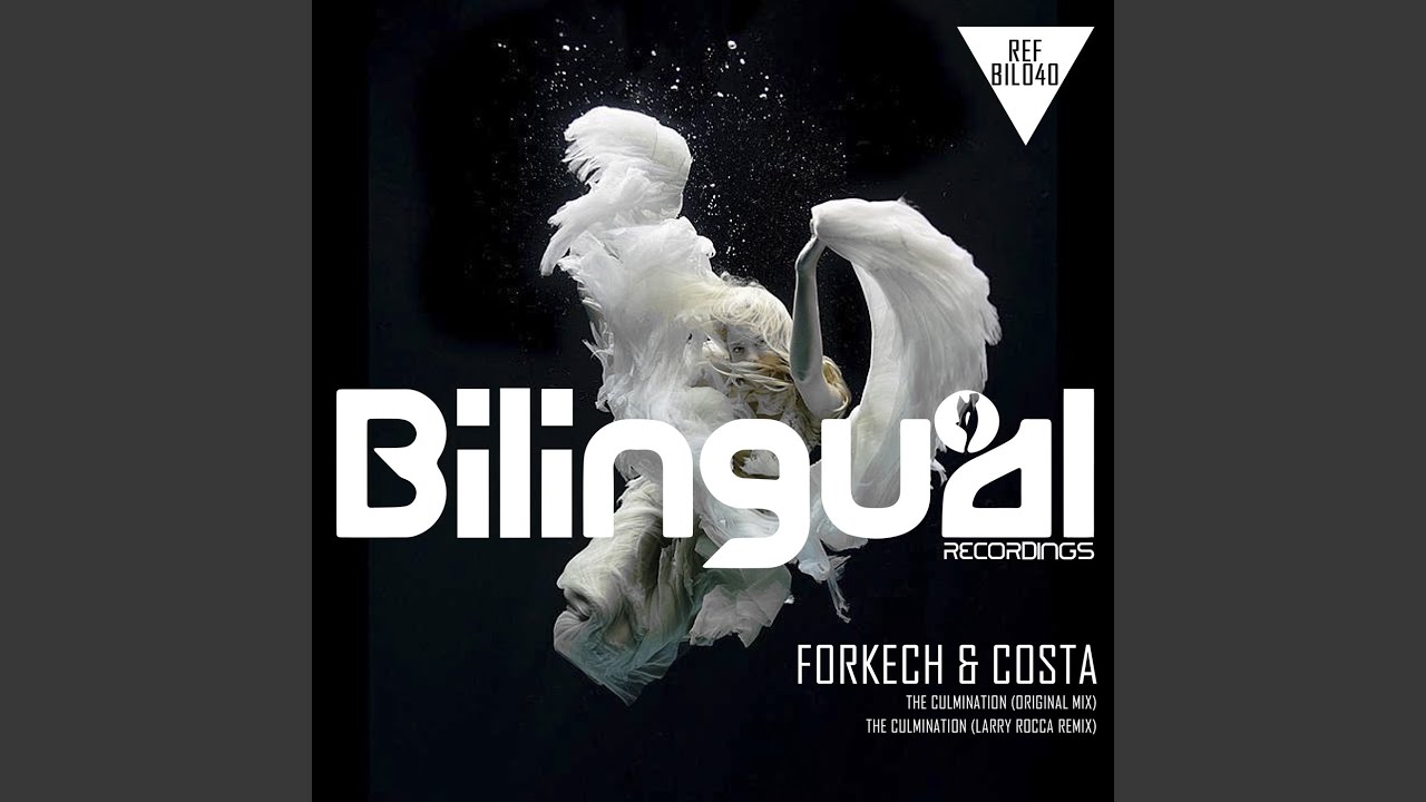 The Culmination (Larry Rocca Remix) - YouTube