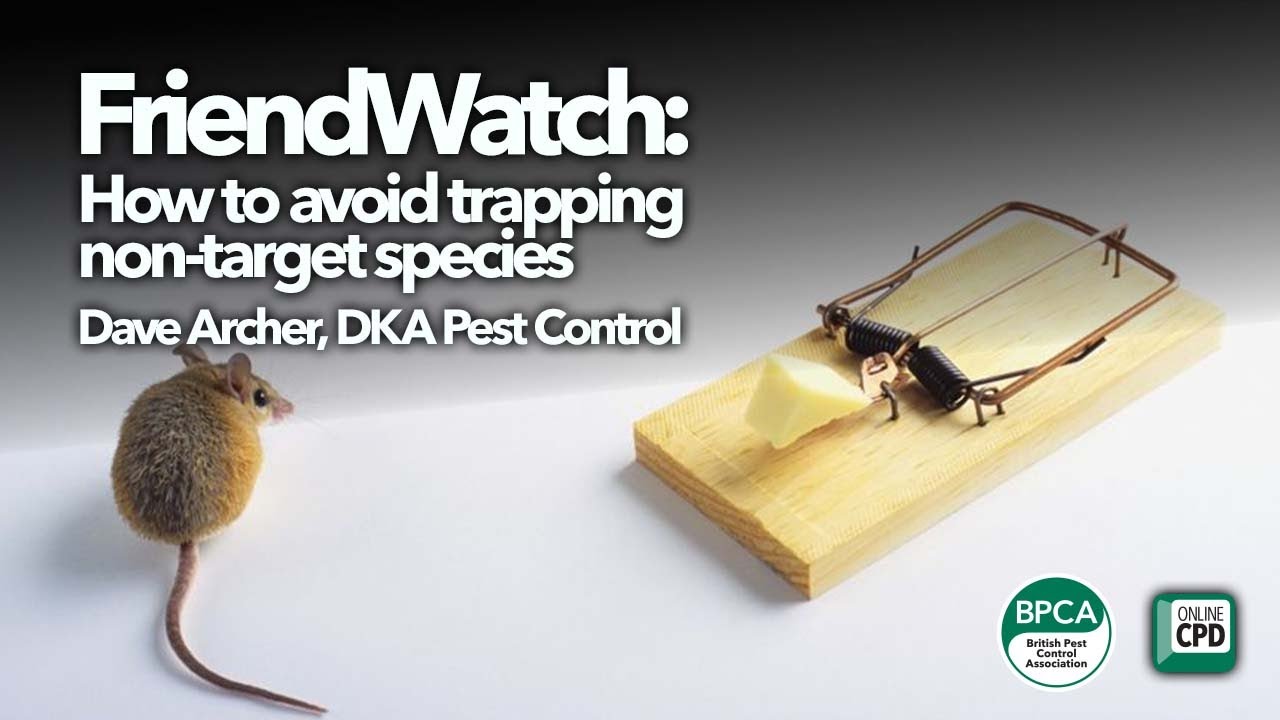 Don't get caught out: How to avoid trapping non-target species - YouTube