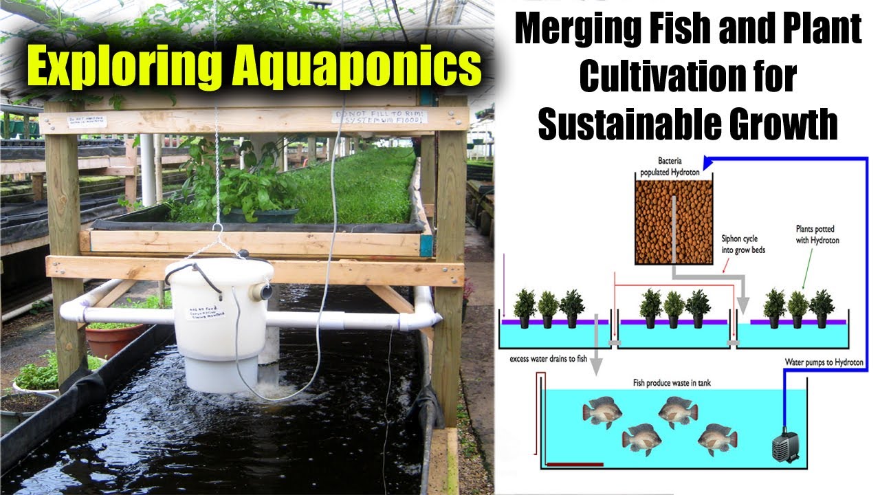 Growing System With Fish