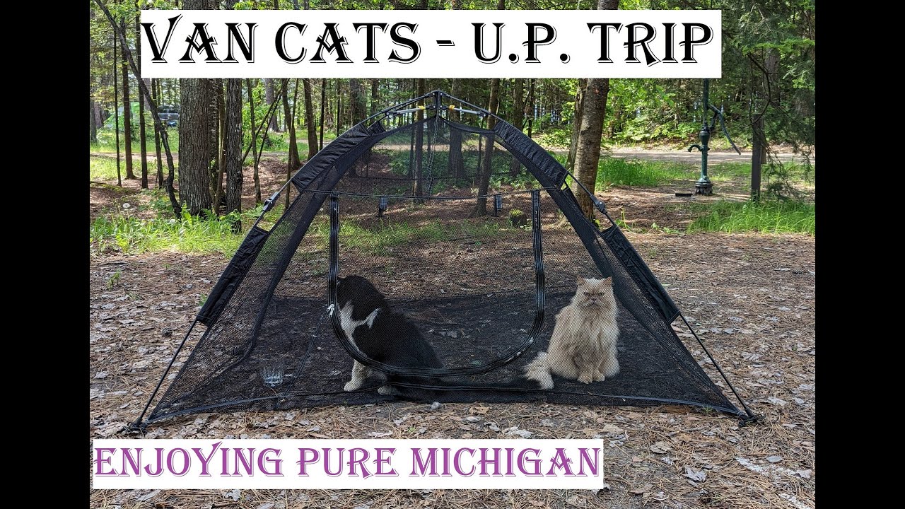 Van Cats ~ Michigan Lake Superior Trip ** CAT WARNING ** - YouTube
