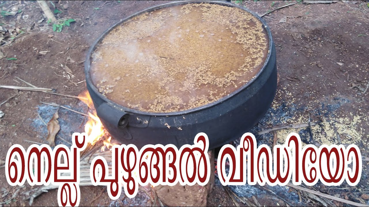 കേരളത്തിലെ പരമ്പരാഗത നെല്ല് പുഴുങ്ങൽ രീതി | Traditional Paddy ...
