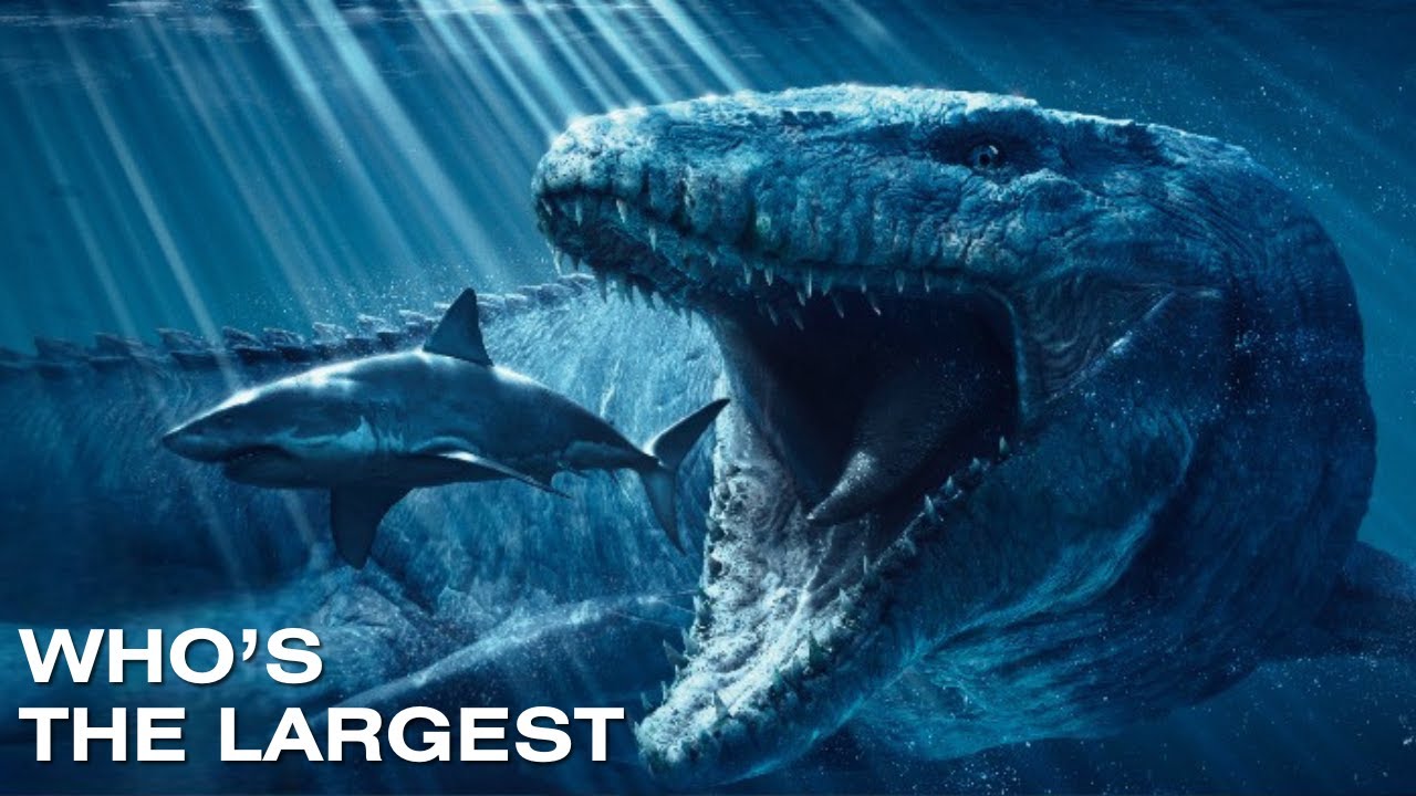 The Earth's Largest Creatures Ever Exist. Size Comparison - YouTube