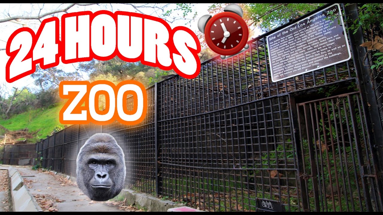 (VOICES!) 24 HOUR OVERNIGHT in ABANDONED ZOO GONE WRONG | SCARY ...
