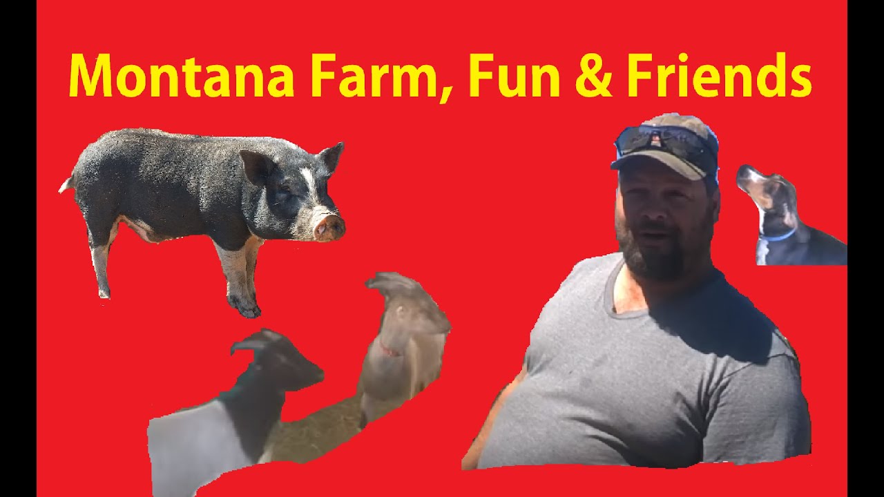 New Help ~ Montana Lot Walkaround Cars, Land, Critters, WE B Redneck ...