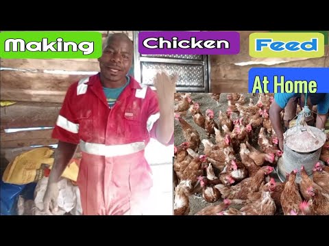 Save Money with this feed formula. How to Make Feeds for Layer Chickens ...