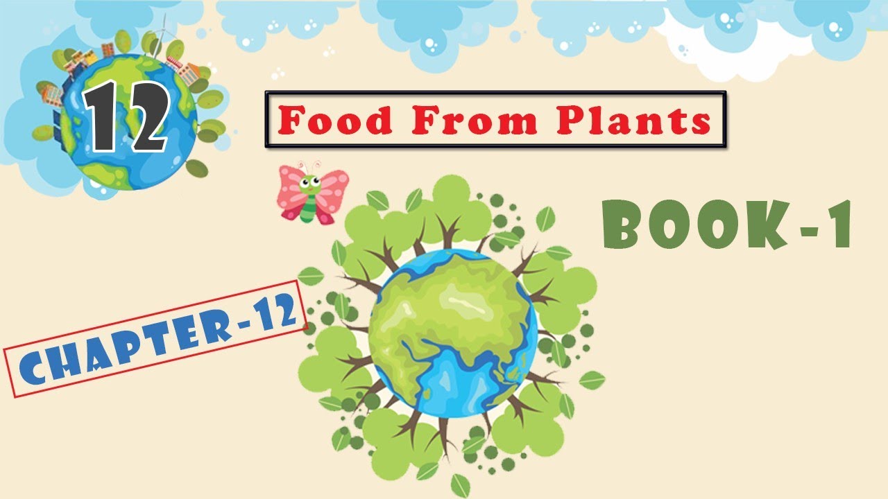 Chapter 12 Food From Plants II @Standardbooksindia - YouTube