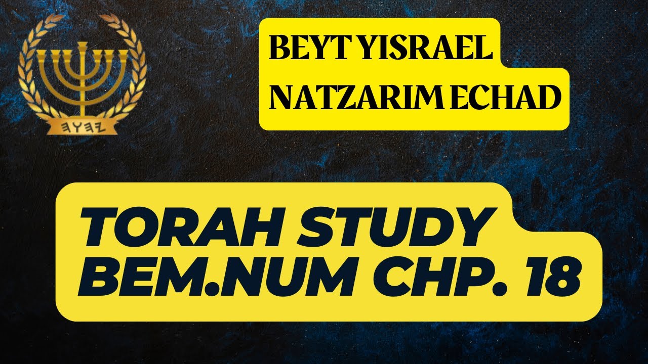 Bemidbar / Numbers Chapter 18 Torah Study - YouTube