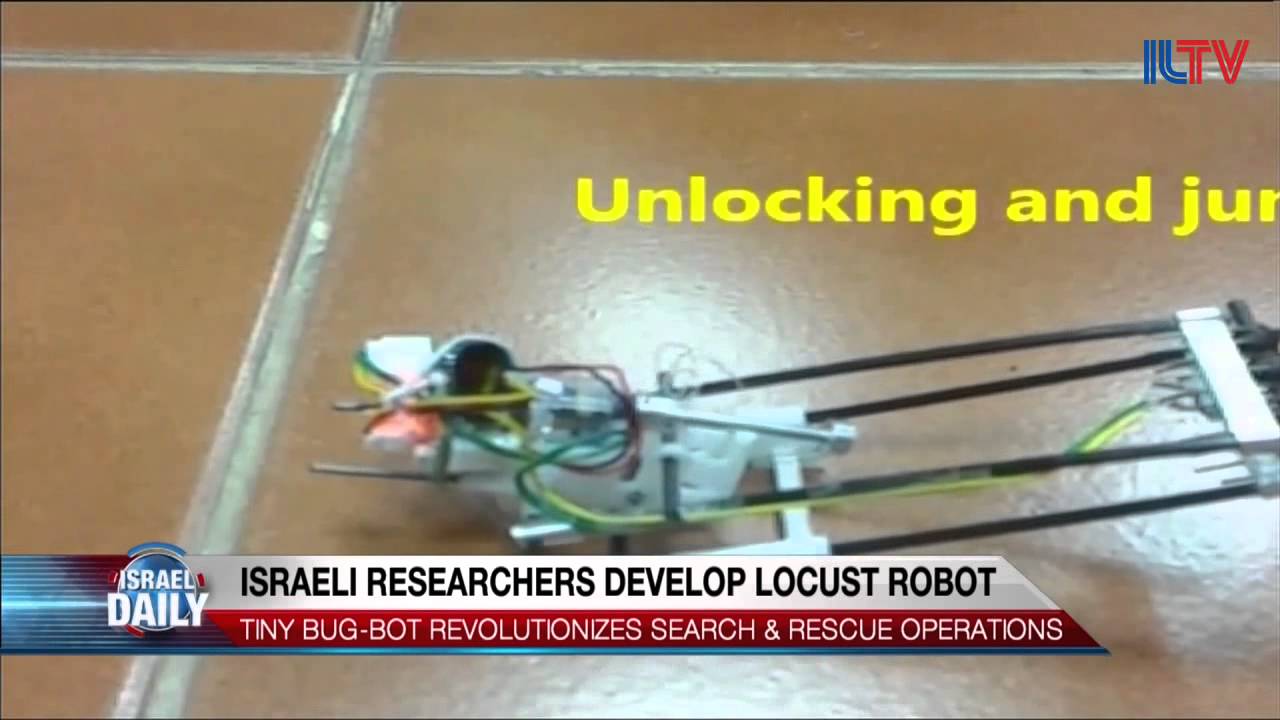 Locust Robots - YouTube