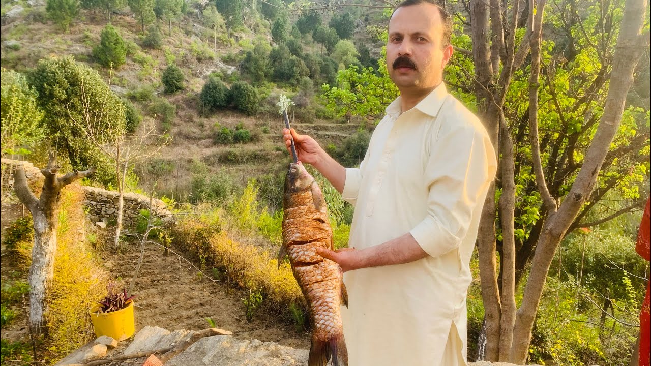 Outdoor Prepare In Easy Way The Grill Fishes In Surface of Mountain By ...