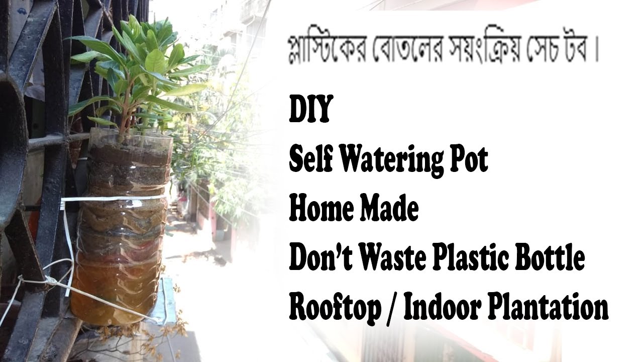 DIY Self Watering Pot | Wick Pot | প্লাস্টিকের বোতলের সয়ংক্রিয় সেচ টব ...