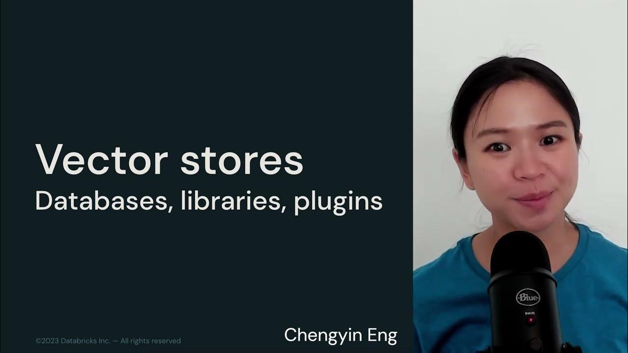 Llm Module 2 Embeddings Vector Databases And Search 25 Vector Stores Youtube