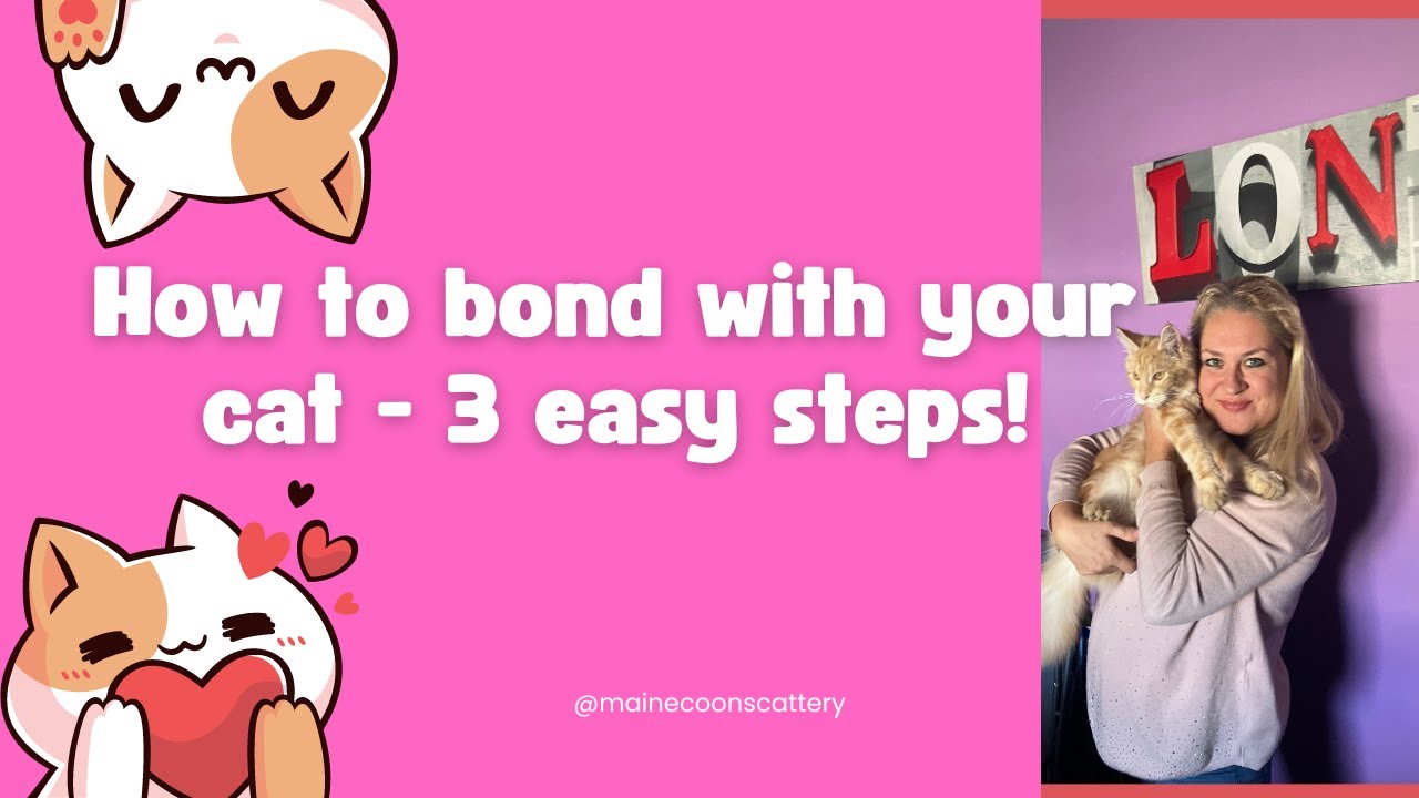 HOW TO BOND WITH YOUR CAT?! - YouTube