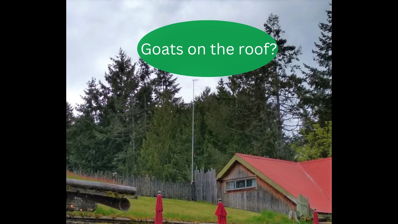 Vancouver Island - Ep 18 Coombs and Ferry back to mainland - YouTube