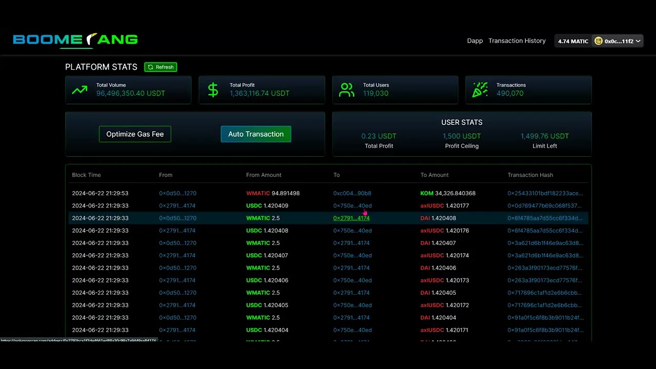 BOOMERANG (LIVE DEMO) FAIL FAIL FAIL - CRAWL, WALK, RUN - AI BOT ...