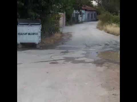 MALATYA KARAKAVAK