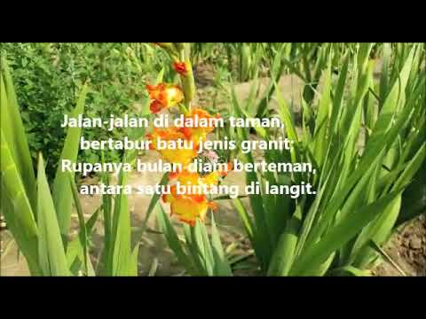 Noorhamy pantun bunga 2020 - YouTube