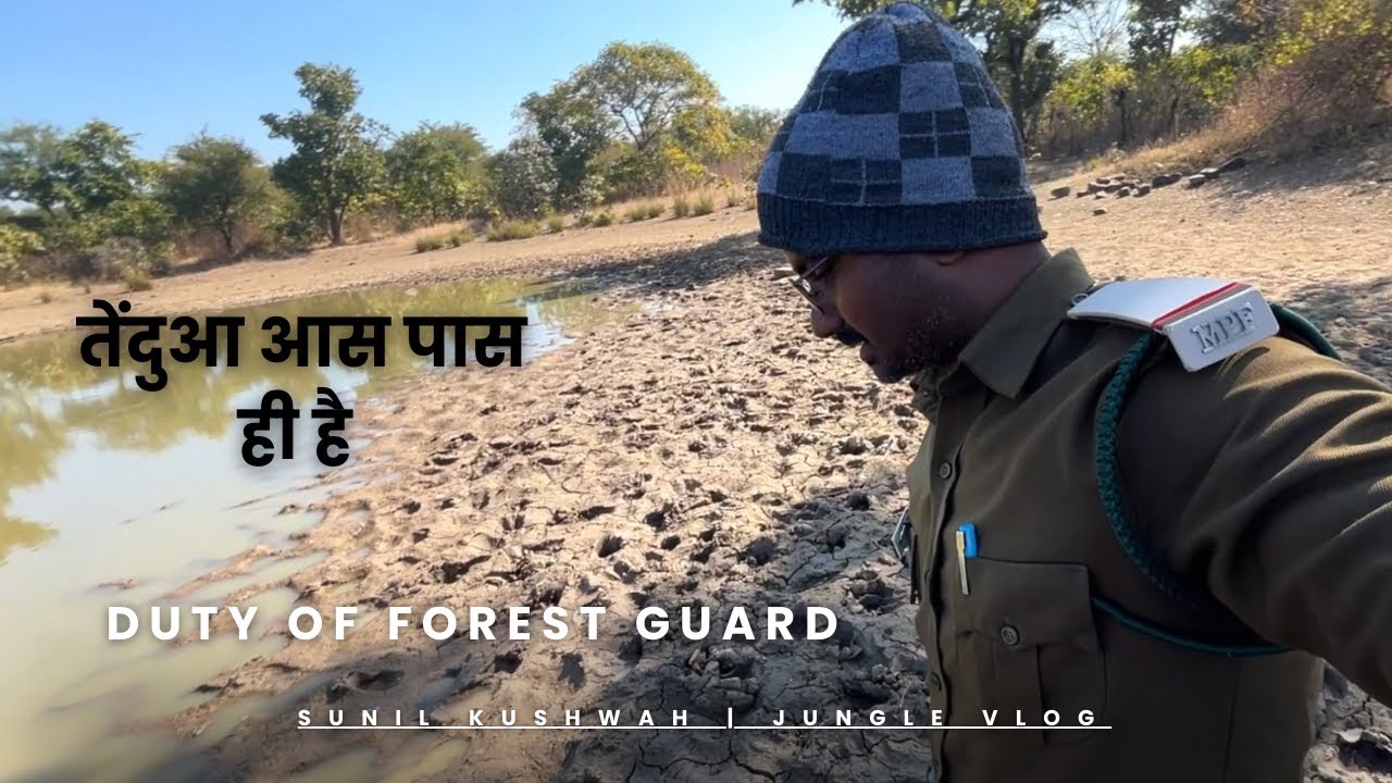 100% तेंदुआ है 😲 | Leopard 🐆 Near Of Me | Sunil kushwah | Duty Of ...