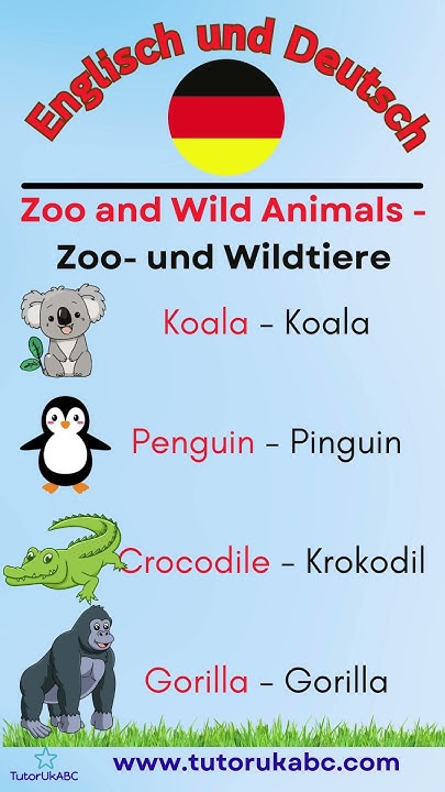 Zoo & Wild Animals 4 (Zoo- und Wildtiere) in English & German | Multi ...