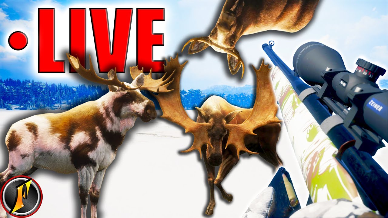 Let's Just Try Not to Get Trolled Today 😂 | Medved Moose Grind! | LIVE ...
