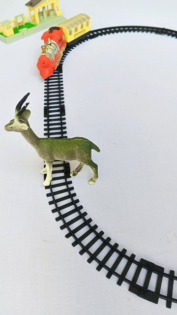 25 kereta api, train hitting the animal, train hitting the deer, # ...