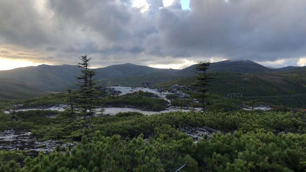 Day 50 Magadan Taiga Landscape - YouTube