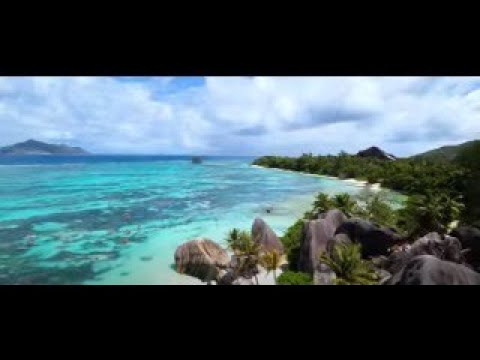 LIVE STREAMING Jamaica 4K – Reggae Rhythms, Golden Sands, and Island ...