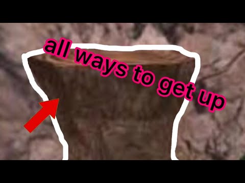 How to get on top of tree trunk | Gorilla Tag - YouTube