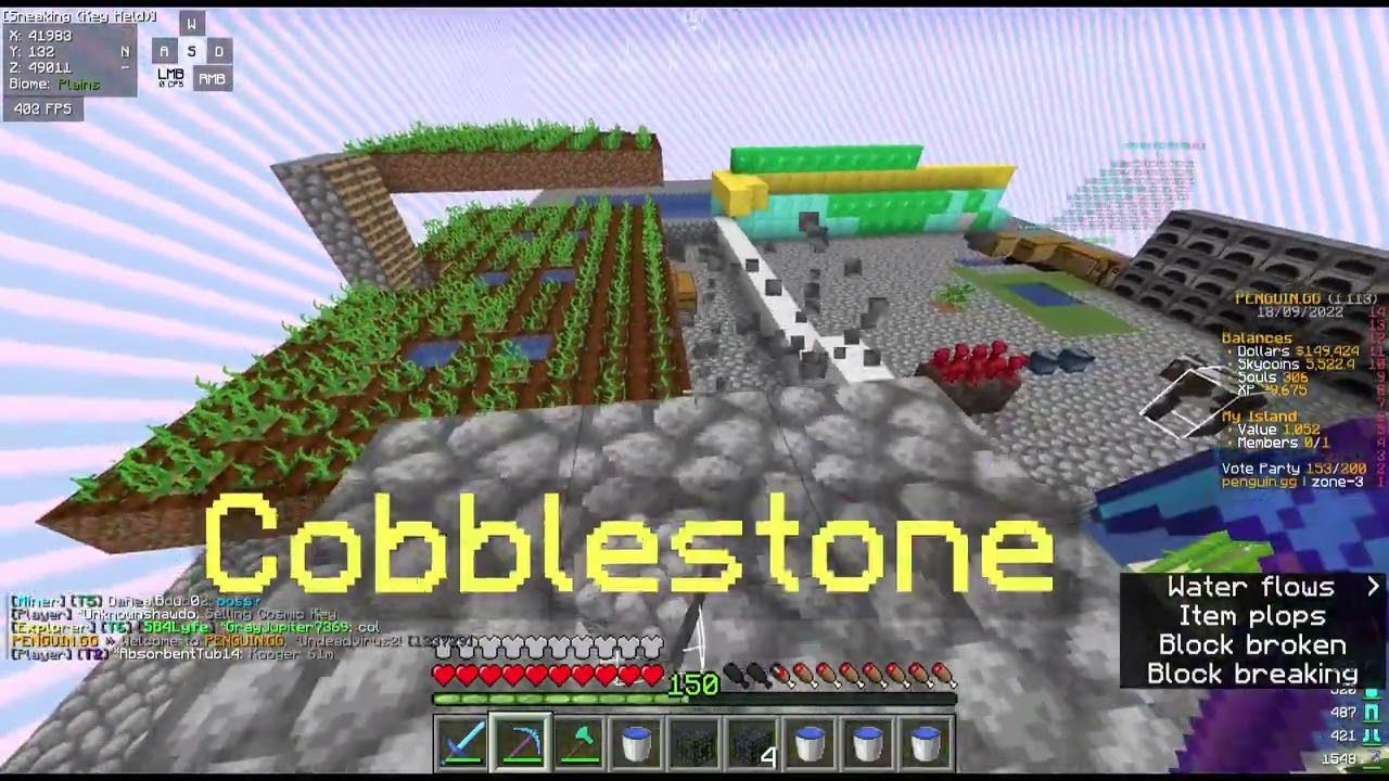 Wyldc4t on the SB737 Skyblock Server - YouTube