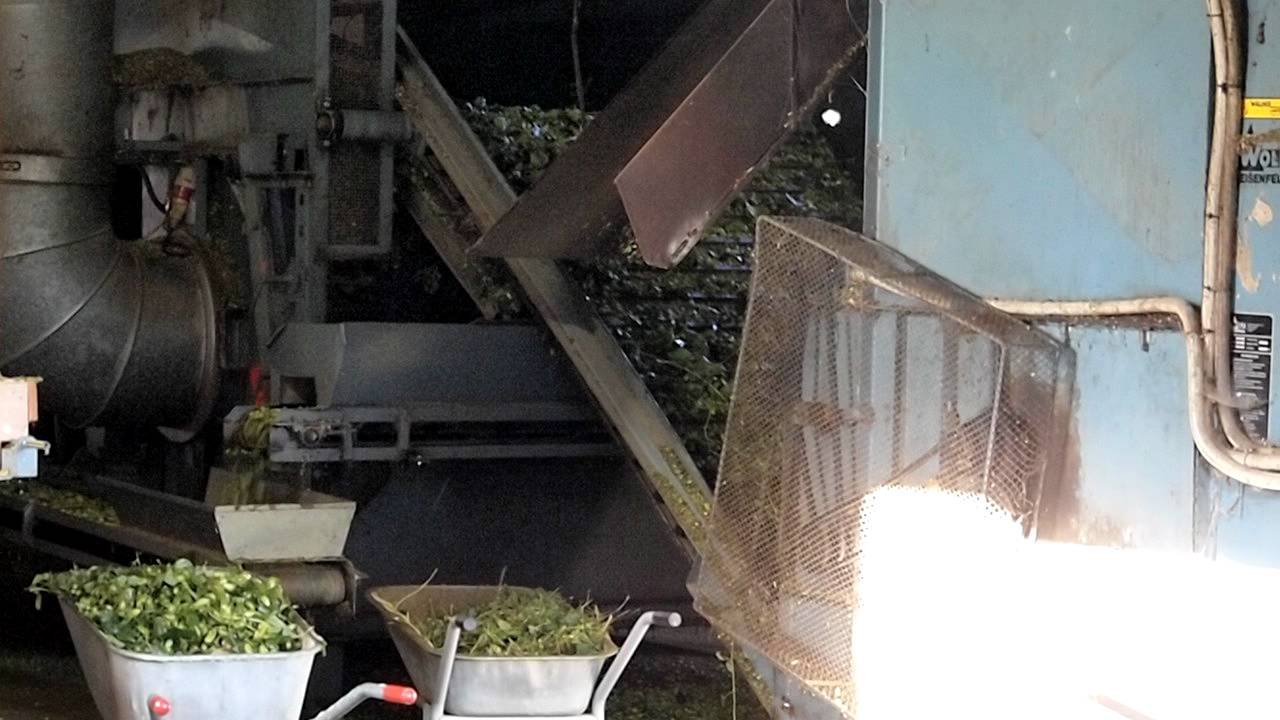 Hops processing machine in Wolnzach, Germany - YouTube