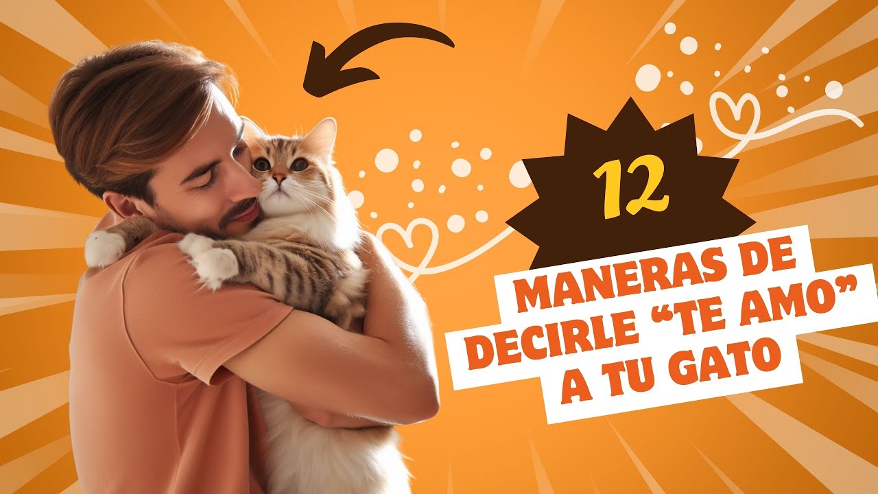 12 MANERAS de decirle "TE AMO" a tu GATO - YouTube