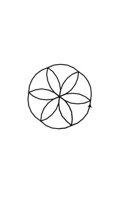 Draw Flower In Python Python Coding Status 😍 Shorts Programming Pythoncoding Python Youtube