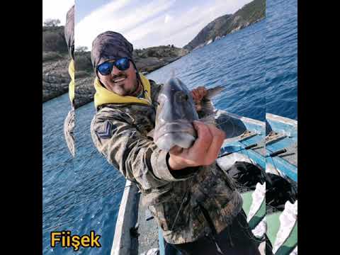 Sinarit bile şok oldu #savagear #okuma azores 5500