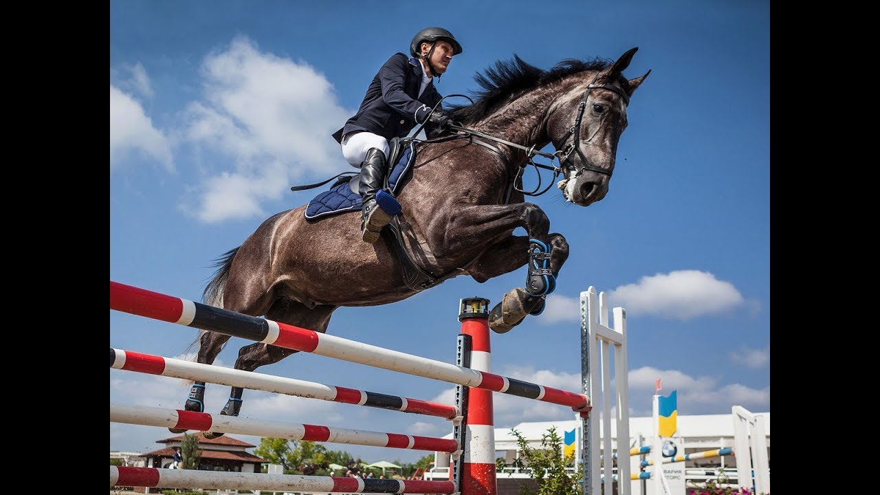 Just Hold On||Equestrian Jumping Music Video - YouTube